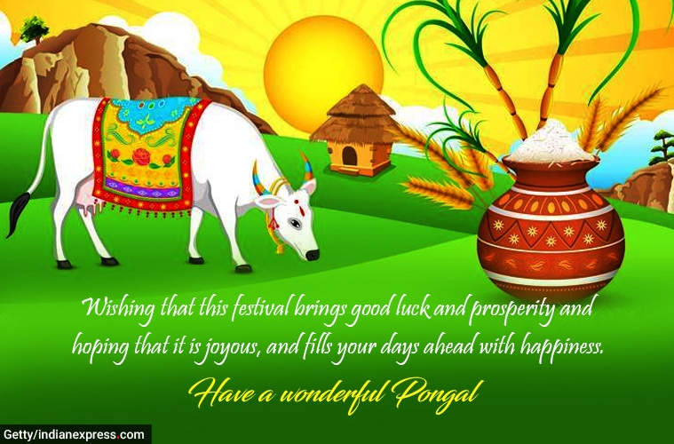 Happy Pongal 2021: Whatsapp Wishes, Images, Status, Wallpapers, Quotes ...