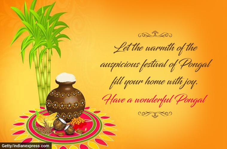 Happy Pongal 2021: Wishes Images, Quotes, Status, Messages, Wallpapers ...