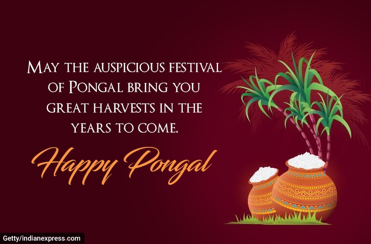 Happy Pongal 2021: Wishes Images, Quotes, Status, Messages, Wallpapers ...