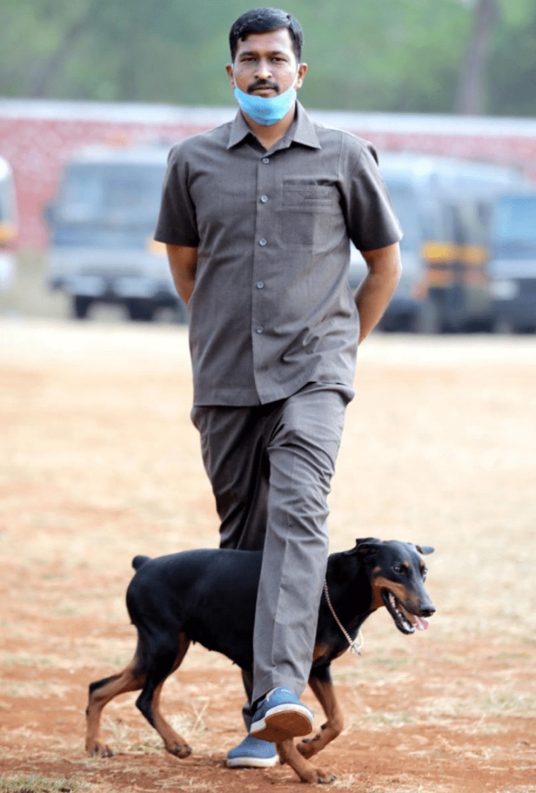Maharashtra: New service manual, training school for police dogs on ...