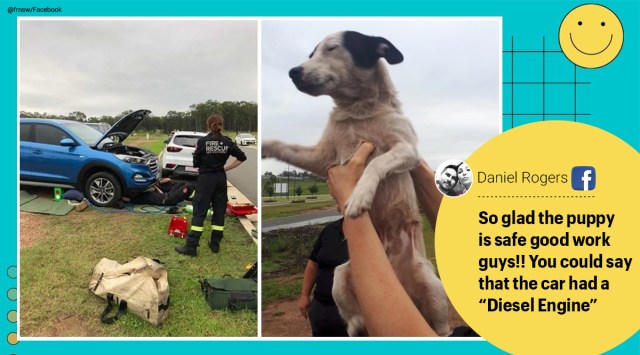 Dog stuck inside car engine rescued, firefighters win praise online ...