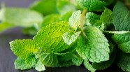 From Curing Headache To Promoting Weight Loss Know About The Many
