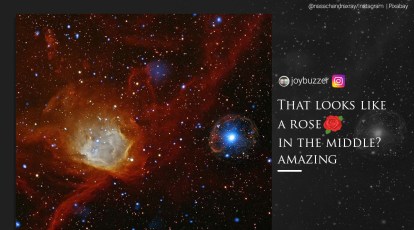 The Rose Nasa 1/1: 2008 Rose Parade: JPL "50 Years" Float