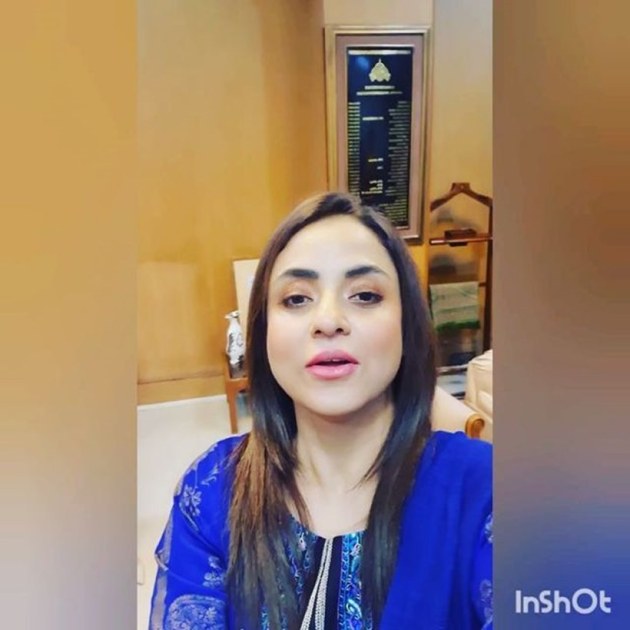 Indian, Pakistani celebs unite, because ‘pawri ho rahi hai ...