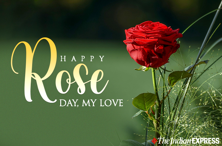 Happy Rose Day 2021: Wishes Images, Quotes, Status, HD Wallpapers, GIF ...