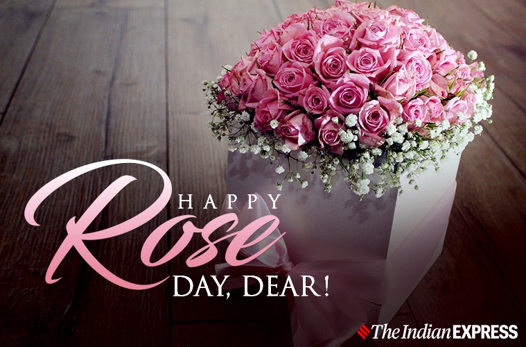 Happy Rose Day 2021: Wishes Images, Quotes, Status, HD Wallpapers, GIF ...