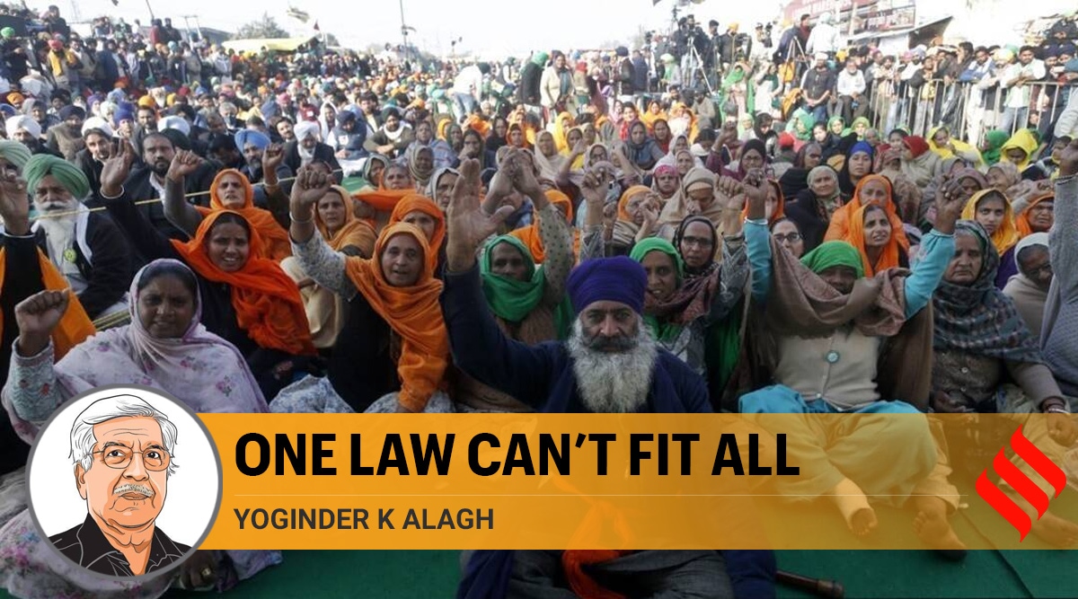 Yoginder K Alagh writes: Farm laws must reflect regional and crop ...