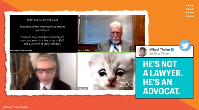 ‘I’m not a cat’: Texas lawyer struggles with zoom filter during virtual ...