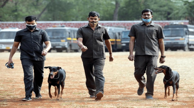 Maharashtra: New service manual, training school for police dogs on ...