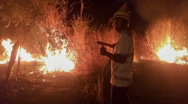 Pune forest and hill fires: All-agency coordination meeting, night ...