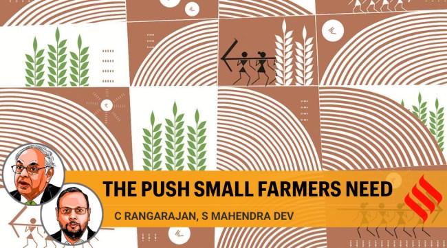 C Rangarajan, S Mahendra Dev write: Farmer producers organisations ...