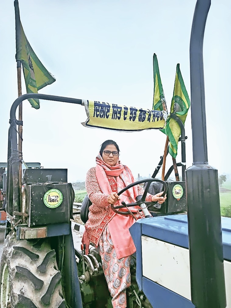 Firmer and farmer | Chandigarh News - The Indian Express