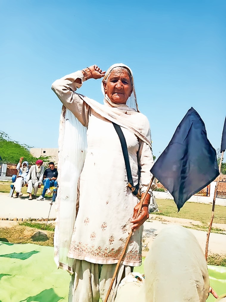 Firmer and farmer | Chandigarh News - The Indian Express