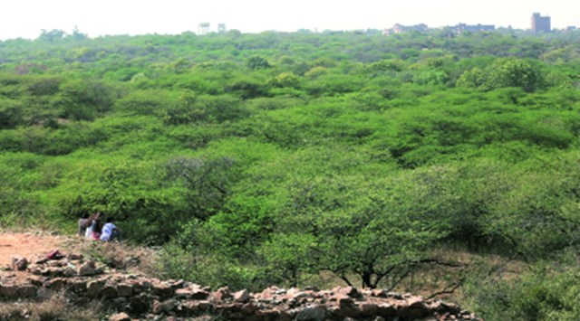 Reviving Ridge will greatly benefit city air & groundwater, says panel ...