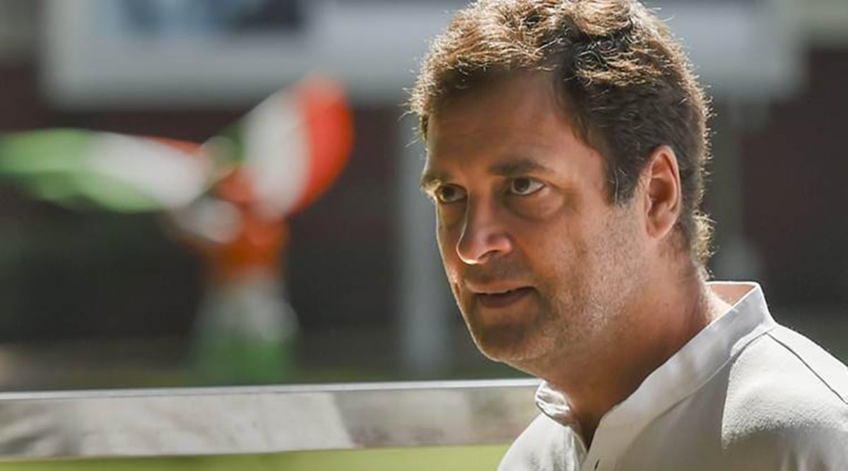 Cast vote against divisive forces to strengthen democracy: Rahul to ...