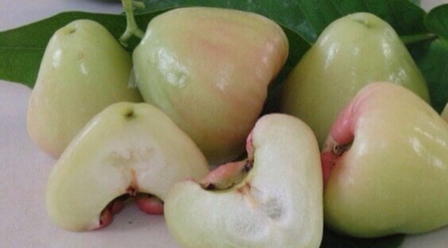 White jamun: Why you must try this lesser-known summer fruit | Health ...