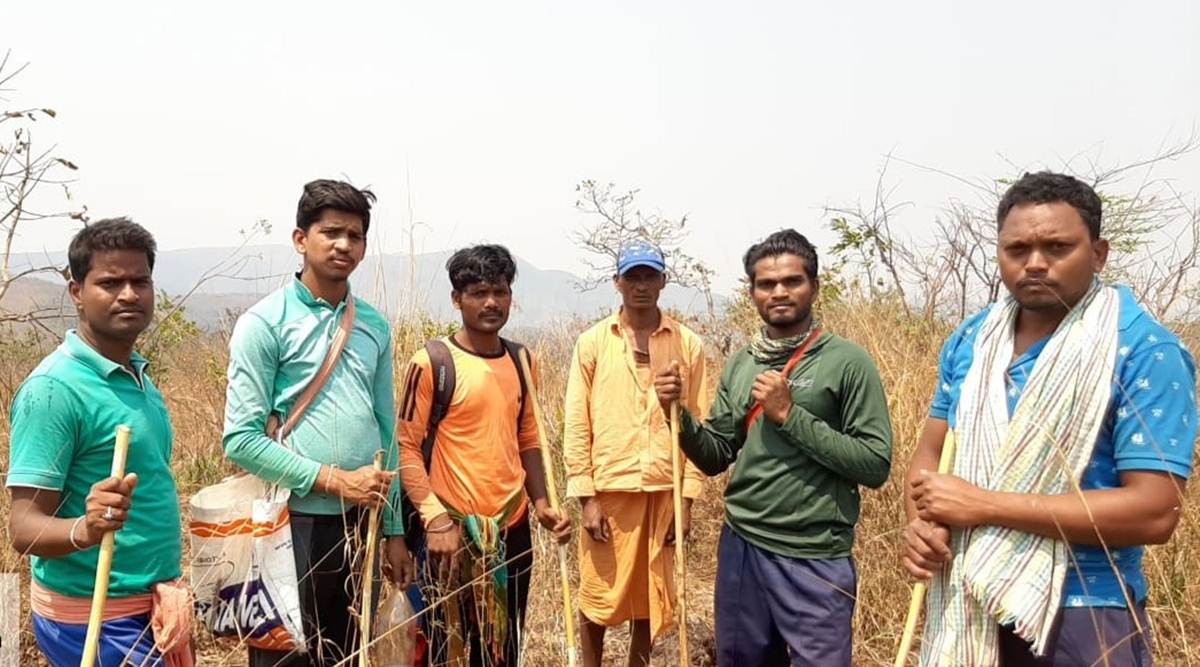 Forest Fire: News, Photos, Latest News Headlines about Forest Fire ...