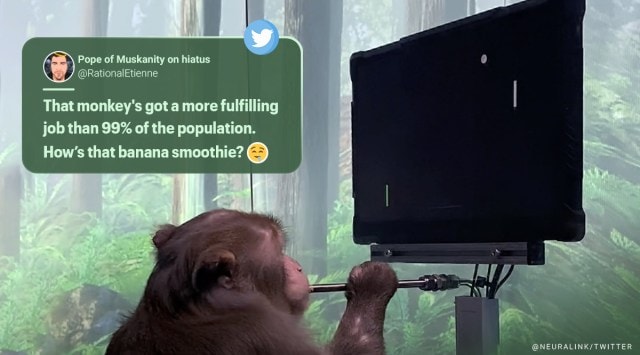 Elon Musk shares video of monkey playing games with its mind, leaves ...