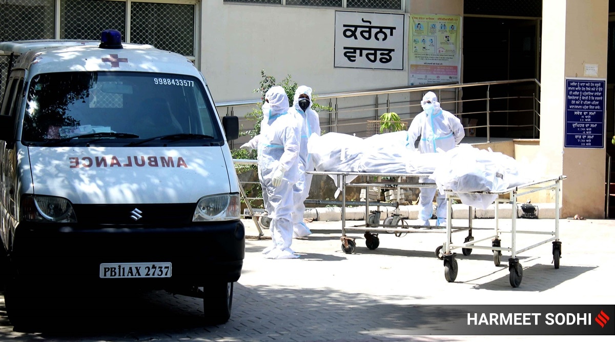 31 deaths in Patiala hospital, morgue overflows | Chandigarh News - The ...
