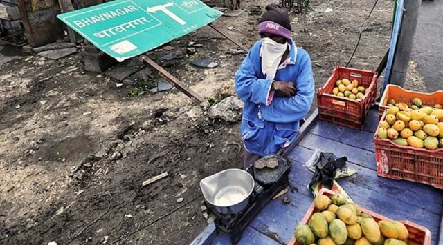 Cyclone Aftermath: Orchards destroyed, mango farmers stare at losses ...