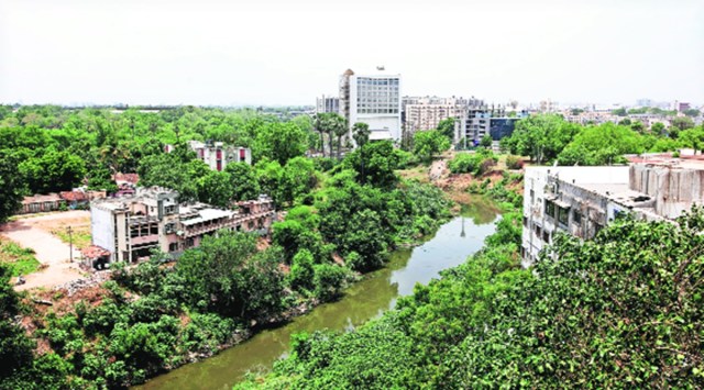 Gujarat: Vishwamitri river project gets green tribunal’s go-ahead ...