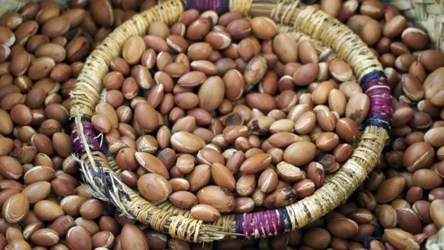 Meet the Moroccan women making Argan oil for the beauty industry | Life ...