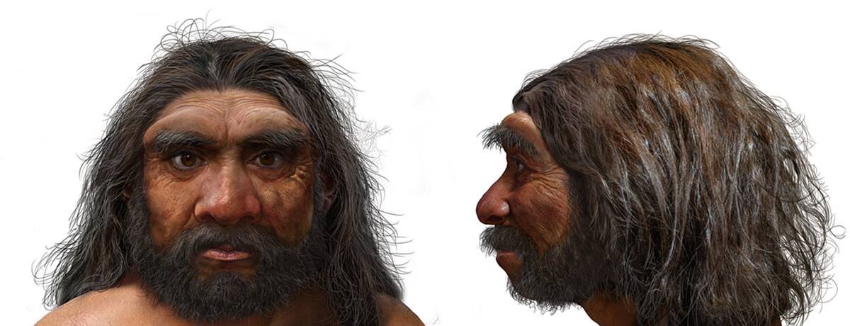Discovery of ‘Dragon Man’ skull in China may add species to human ...