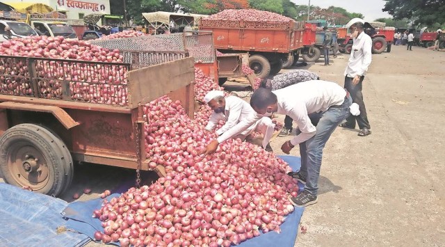 Lasalgaon onion market sets aside 74-yr-old belief to recover Covid losses, keeps business open ...