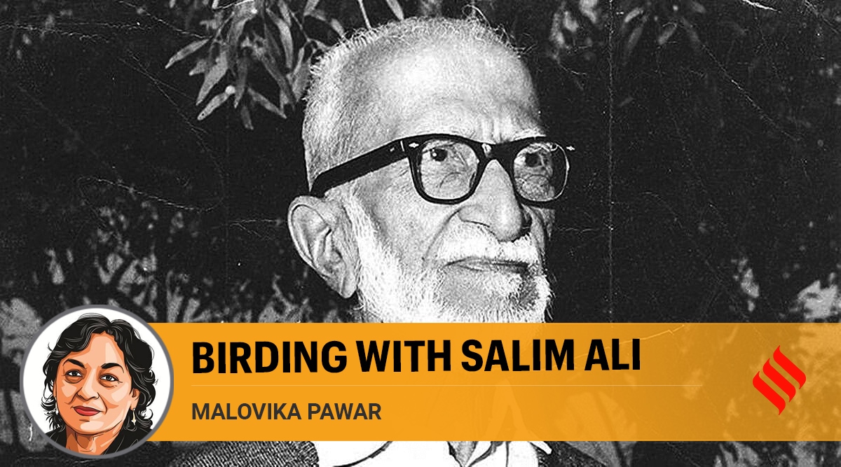 Why Salim Ali’s ‘The Book of Indian Birds’ is Indian birdwatchers ...