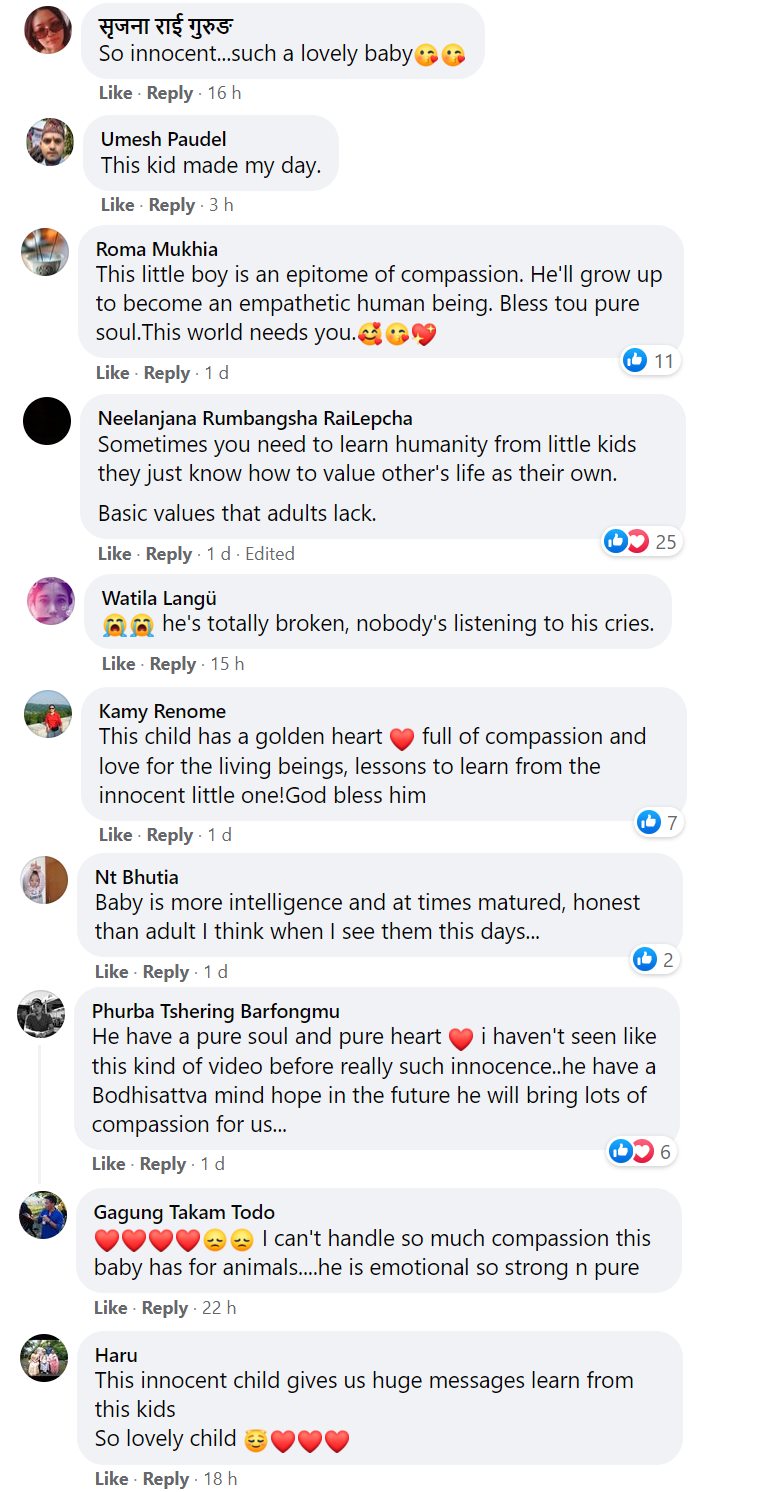 Sikkim boy cries and pleads not to take chickens he raised, video goes ...