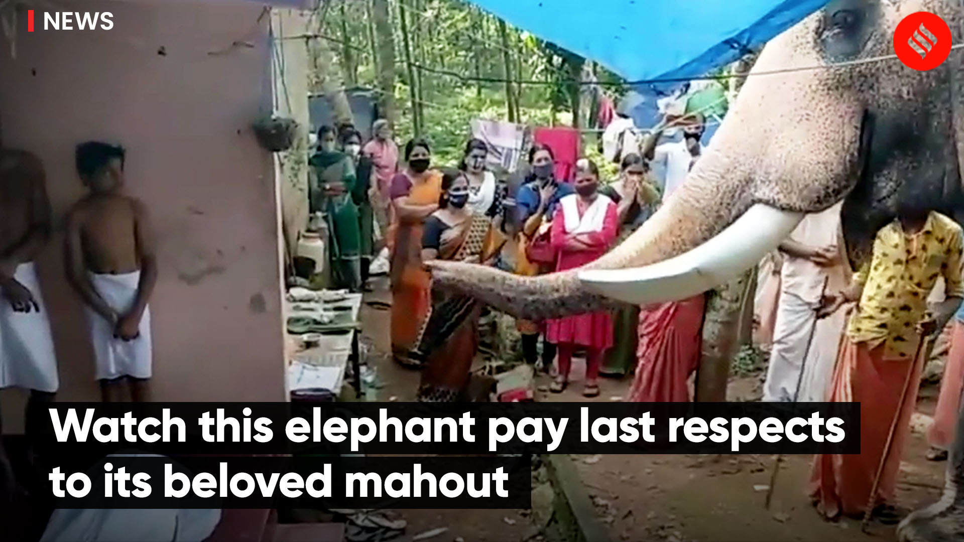Watch this elephant pay last respects to its beloved mahout-The Indian ...