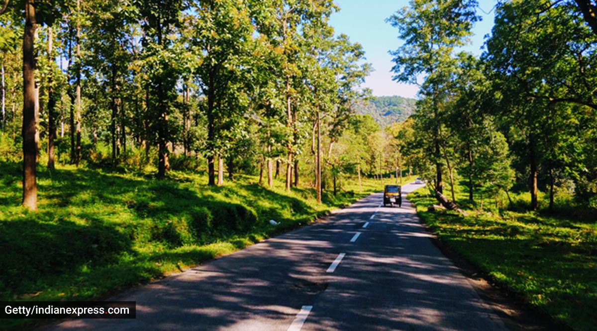 Visiting Vythiri: Here’s how to plan a trip to this 100 per cent ...