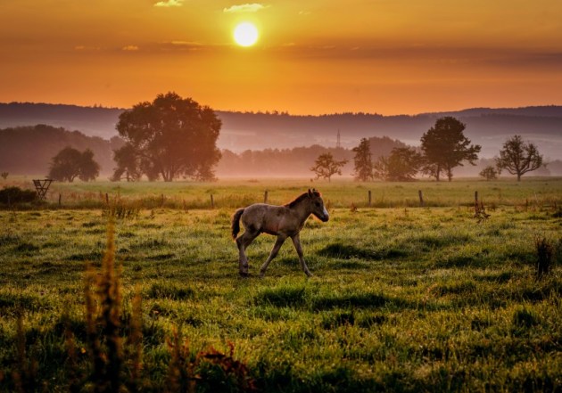 Week in pictures: A look at most compelling images from around the ...