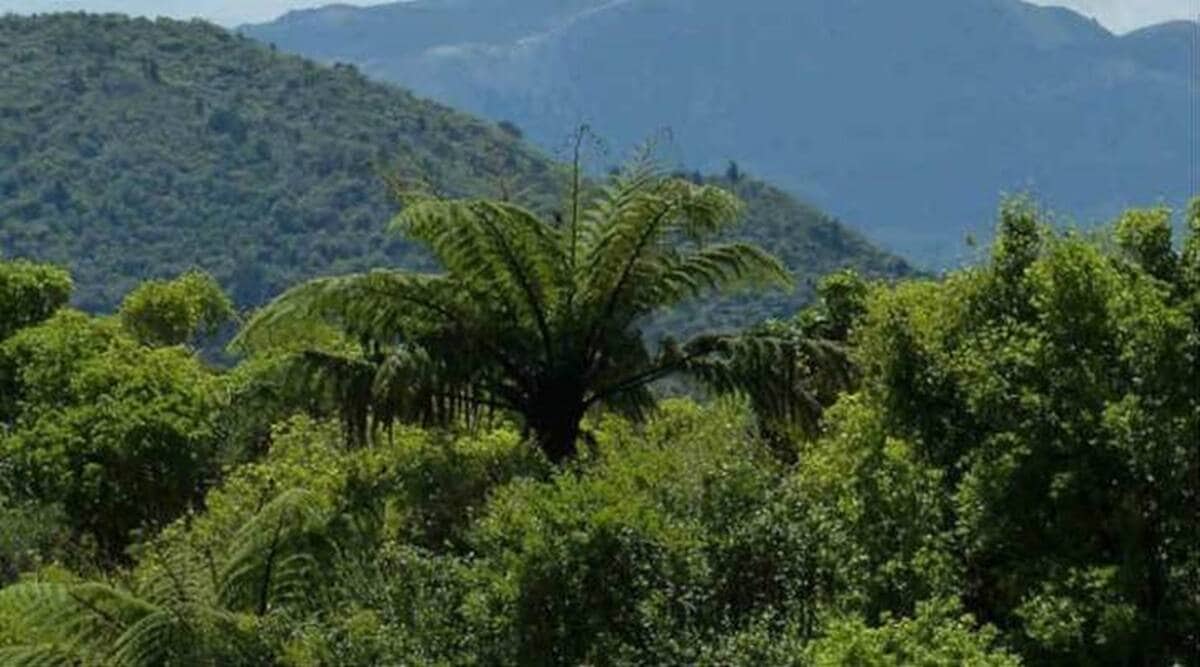 JICA soft loan for ecosystem restoring project in Gujarat