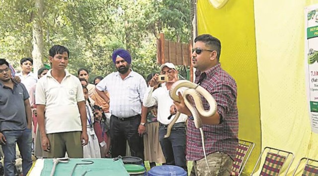 Snakes are not enemies of mankind: Expert | Chandigarh News - The ...