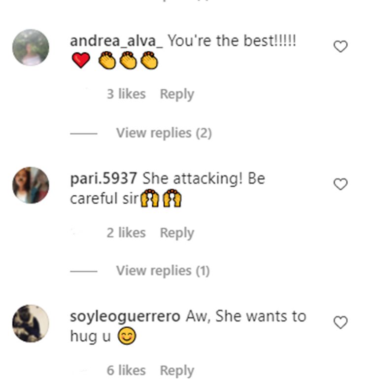 Video clip of python attacking California zookeeper leaves netizens ...