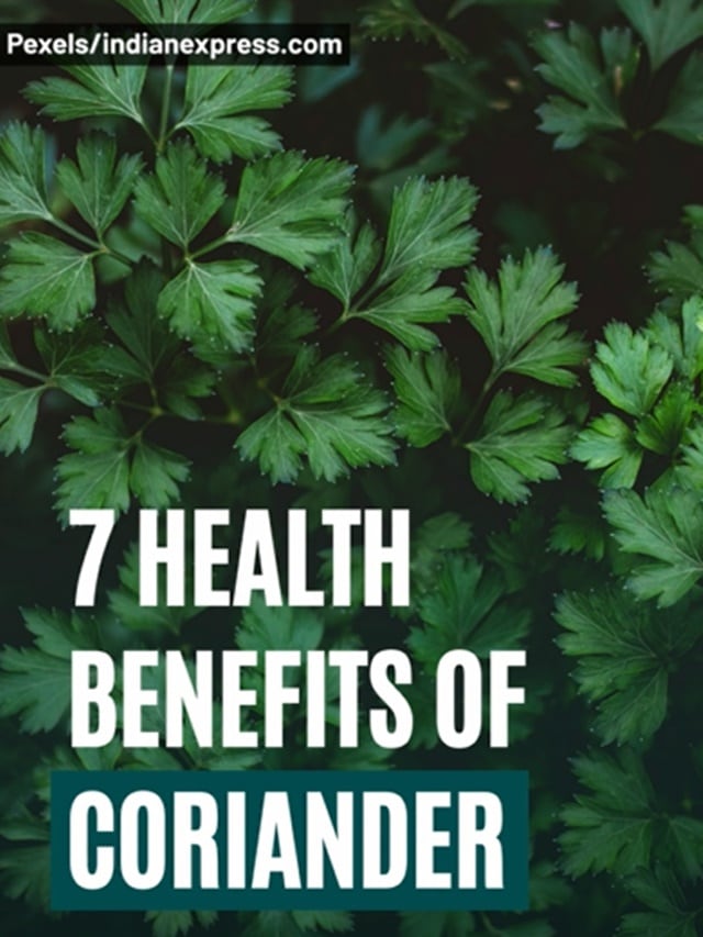 7 health benefits of coriander | The Indian Express