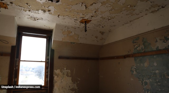 Indoor fungus and its impact on health: All you need to know | Health ...