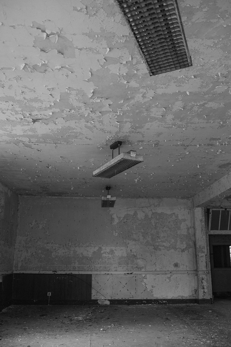 Indoor fungus and its impact on health: All you need to know | Health ...