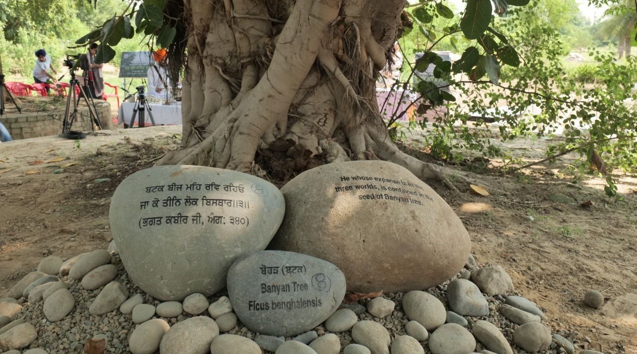 Garden with 6,000 trees named in Gurbani opens in Moga village