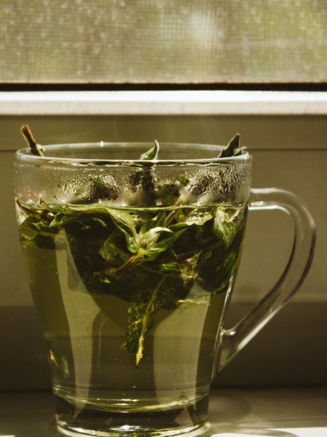 Green-tea-All-you-need-to-know-about-it.jpg