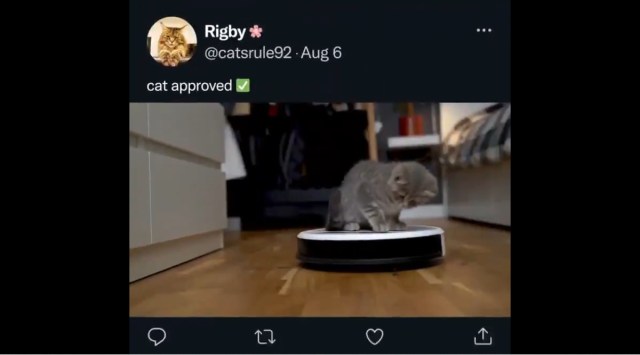 Twitter testing Instagram-like look with edge-to-edge tweets ...
