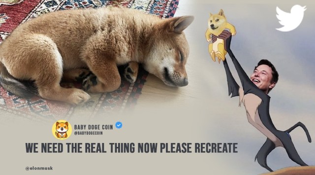 ‘Floki has arrived’: Musk tweets photo of new Shiba Inu pup, triggers ...