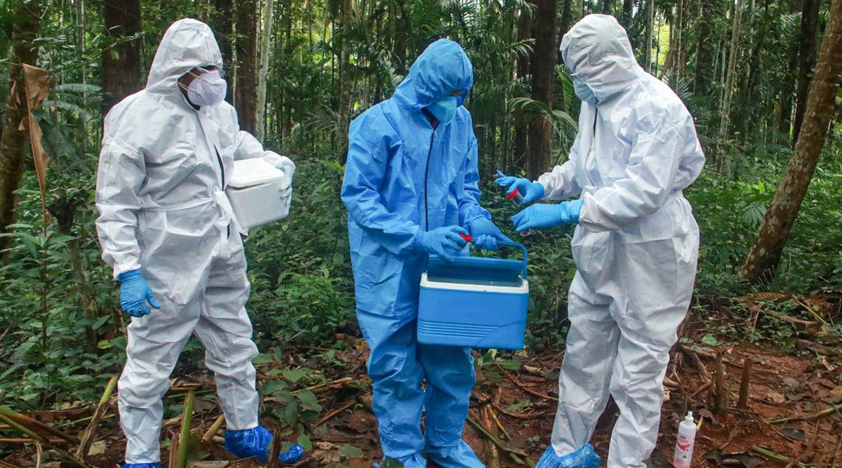 Day after Kerala Nipah death: 251 contacts isolated, 11 with symptoms | India News - The Indian ...