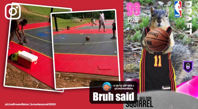 ‘NBA player reincarnated?’: Video of squirrel on basketball court wows ...