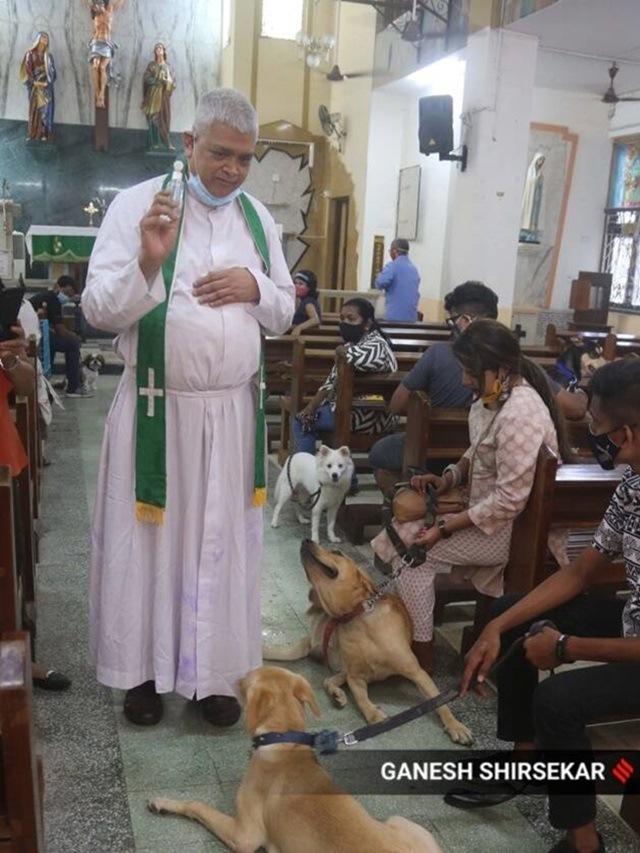 Mumbai church observes ‘Pet Blessing Day’ | The Indian Express