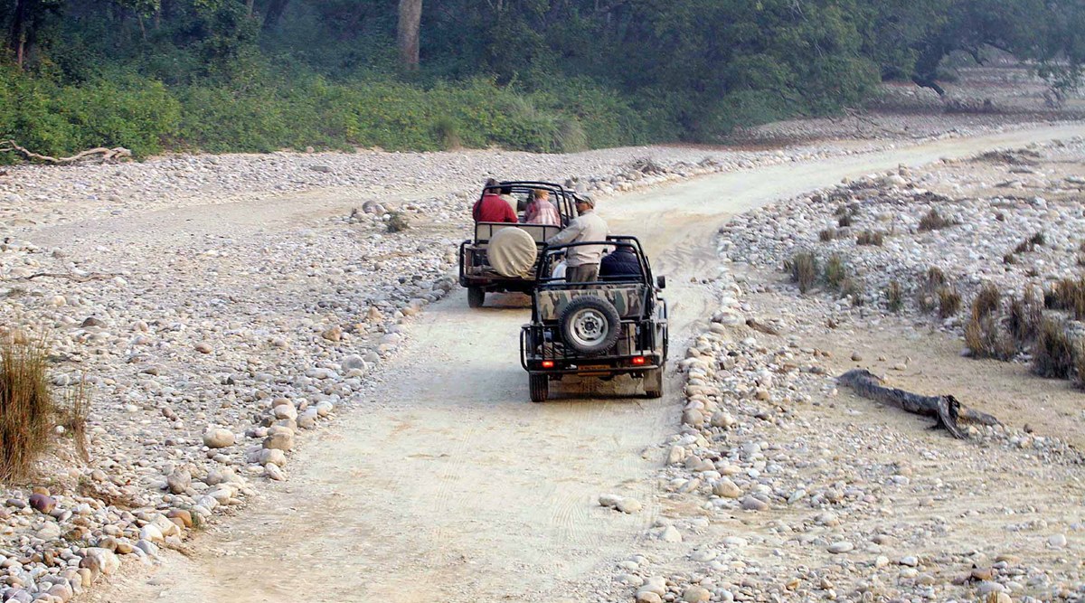 Who was Jim Corbett? The man, the stories, and his enduring legacy of ...