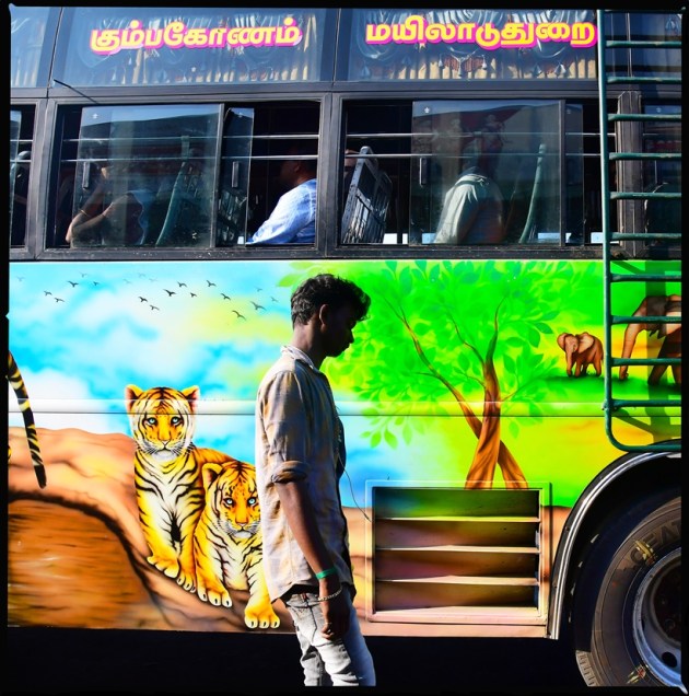 Art on wheels: Beautiful pictures showcase the colourful life of Tamil ...