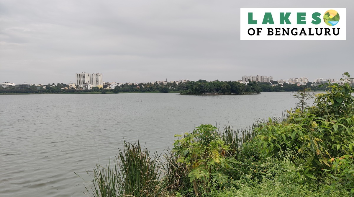 Lakes of Bengaluru: Rachenahalli lake, a lifeline choked by rampant ...