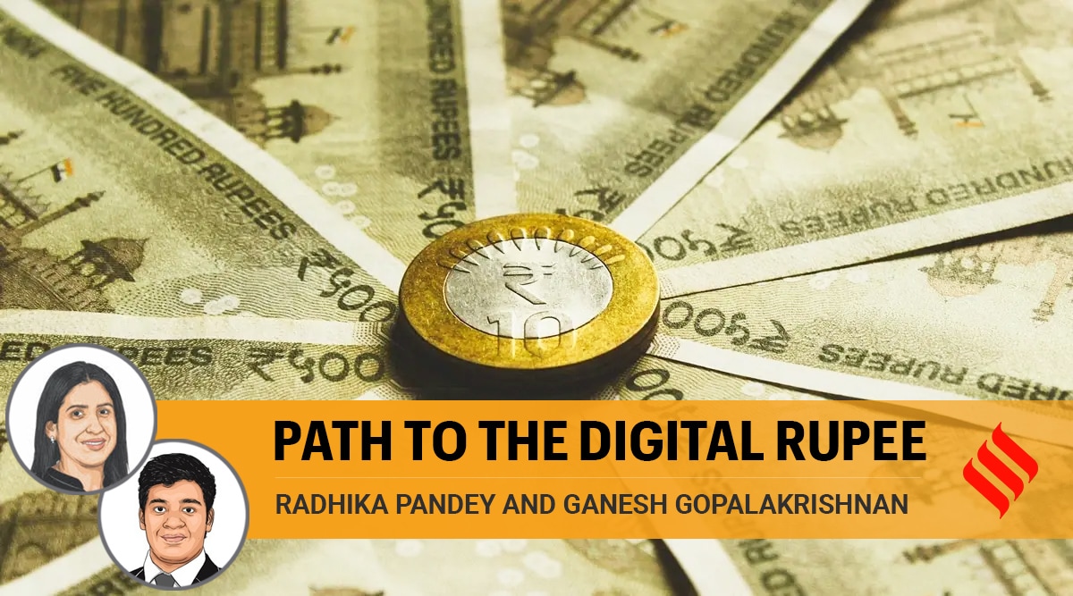 Radhika Pandey, Ganesh Gopalakrishnan write: Charting India’s path to a ...